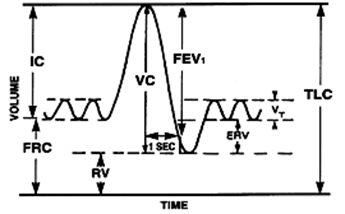 Approach to the Respiratory Patient : Pulmonary Function Tests (PFTs) - RME
